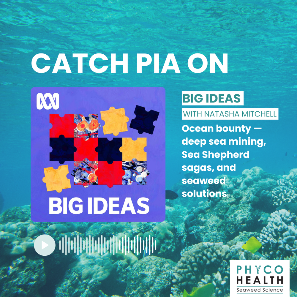 Big Ideas on ABC Radio National (ABC RN) with Natasha Mitchell