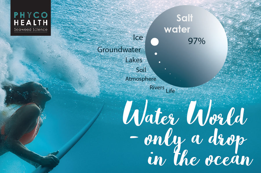 Service of Seaweed Part II - Water