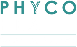 PhycoBucha - kombucha with the magic of seaweed – PhycoHealth